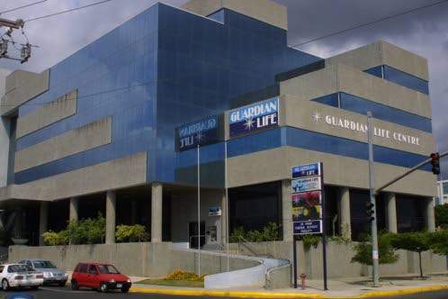 Guardian Life makes record profits for 20th anniversary - Insurance ...